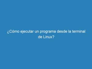 ¿Cómo ejecutar un programa desde la terminal de Linux? - mecna